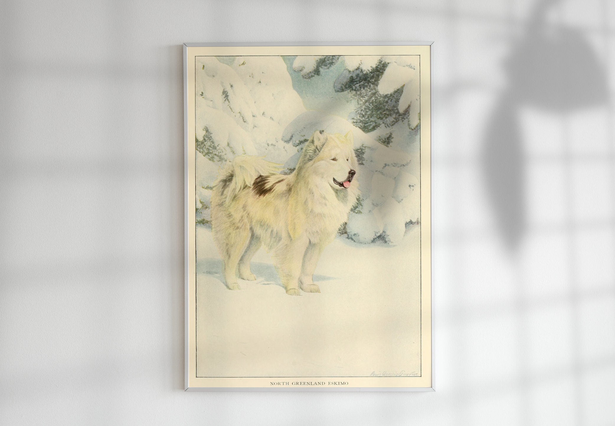 The Book of Dogs, Printable Images, Printable Illustrations, National ...