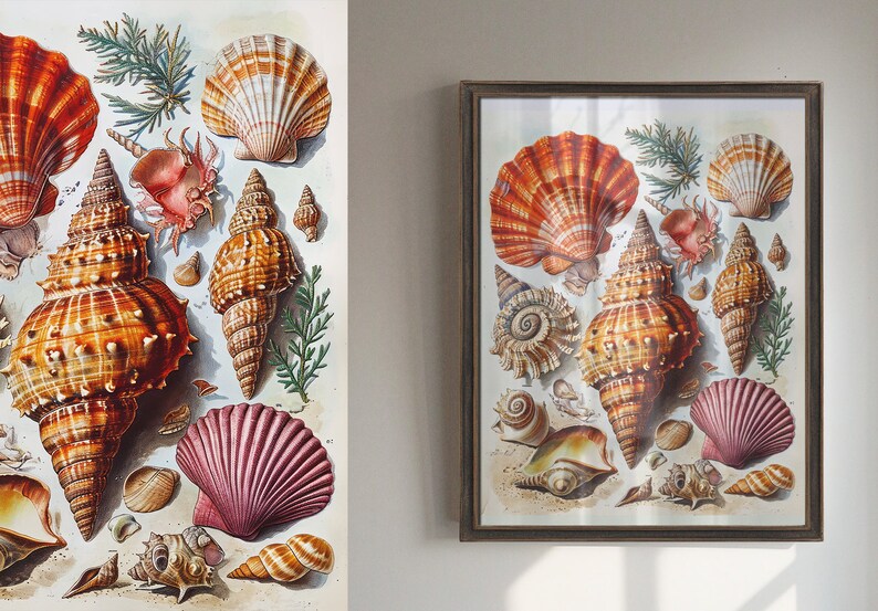 Unique Seashell Posters 50 HQ Printable Old School Wall Art Posters ...
