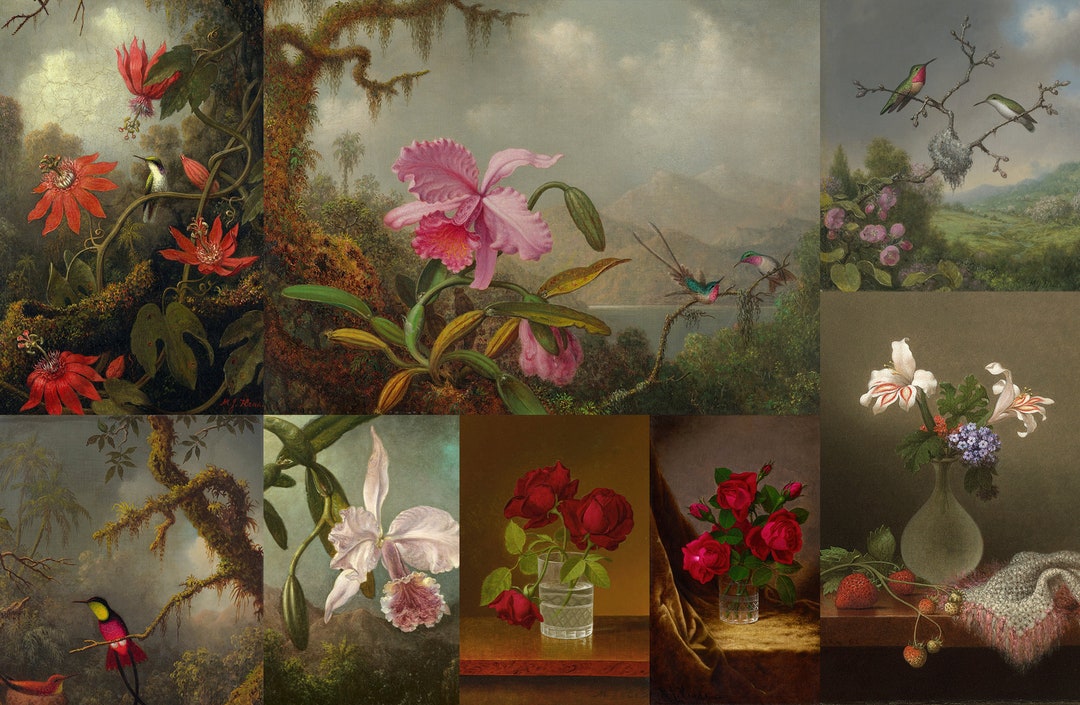 40+ Martin Johnson Heade HQ Printable Paintings Orchids Hummingbirds ...