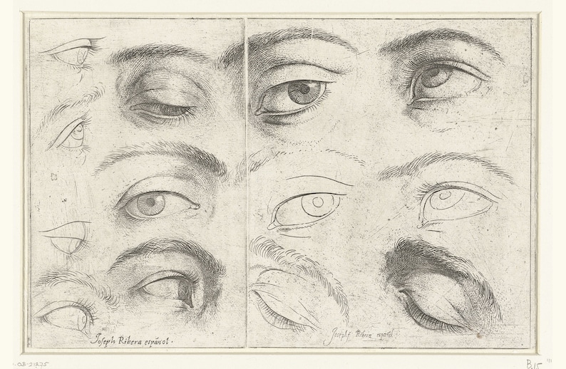 120 Vintage Anatomy Sketches Anatomical Poses Female Male Muscular ...