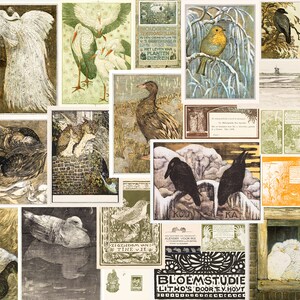 160+ Theo Van Hoytema Paintings Peacock Birds Tattoo Line Art Chicken ...
