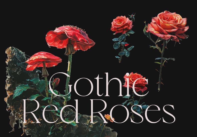 Gothic Red Roses, PNG HQ, Surreal Roses, Dark Flowers, Collages, Dark ...