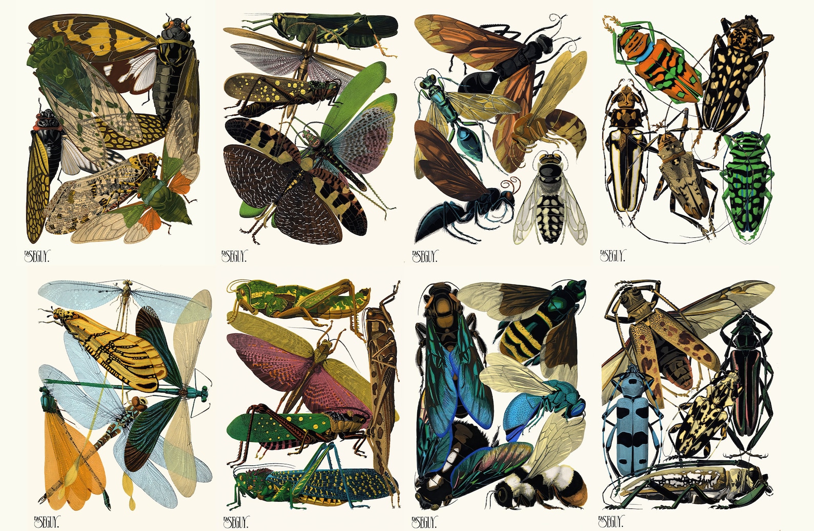 Eugene Seguy Insectes Plate Art Nouveau 1920s French Antique - Etsy