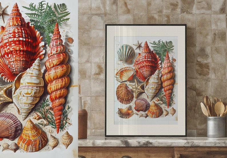 Unique Seashell Posters 50 HQ Printable Old School Wall Art Posters ...