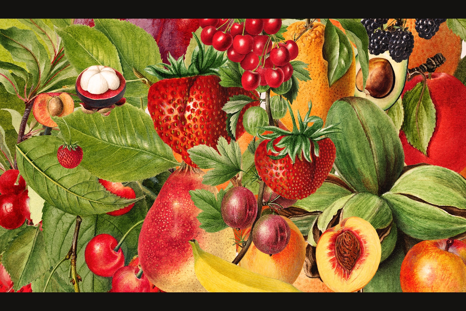 60 Deborah Griscom Passmore Cliparts Vintage Fruit Illustrations ...