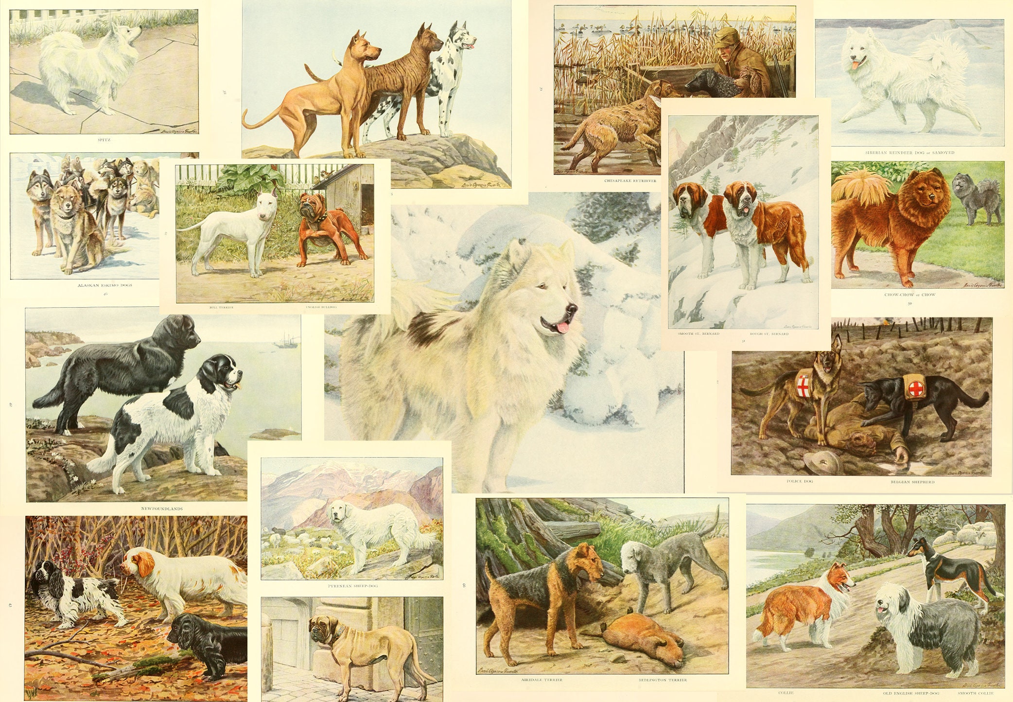 The Book of Dogs, Printable Images, Printable Illustrations, National ...
