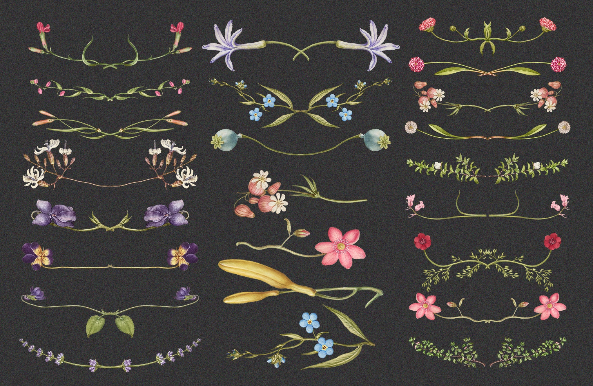380+ Antique Victorian Ornament Clipart Set Cute Floral Pngs Collage ...