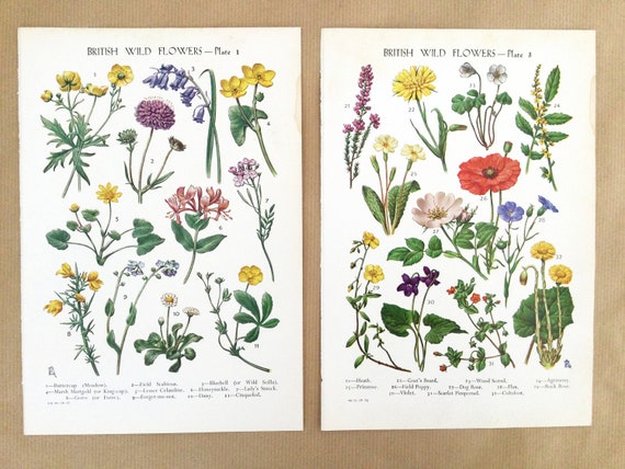 Scrapbooking Paper Papercraft book pages double sided Vintage paper ...