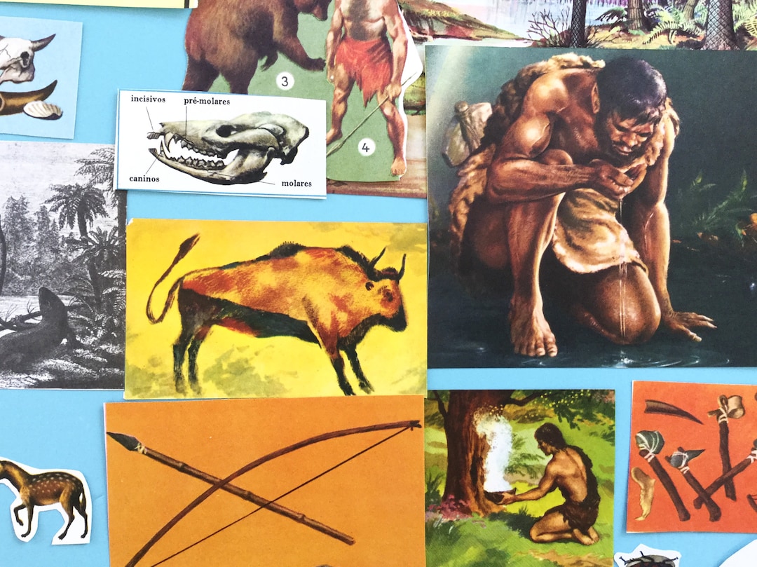 Prehistoric Collage Kit, Paleontology, Early Man, Dinosaurs, Fossils ...