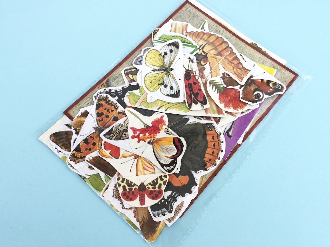 Insect Collage Kit Butterflies and Moths Paper Ephemera - Etsy