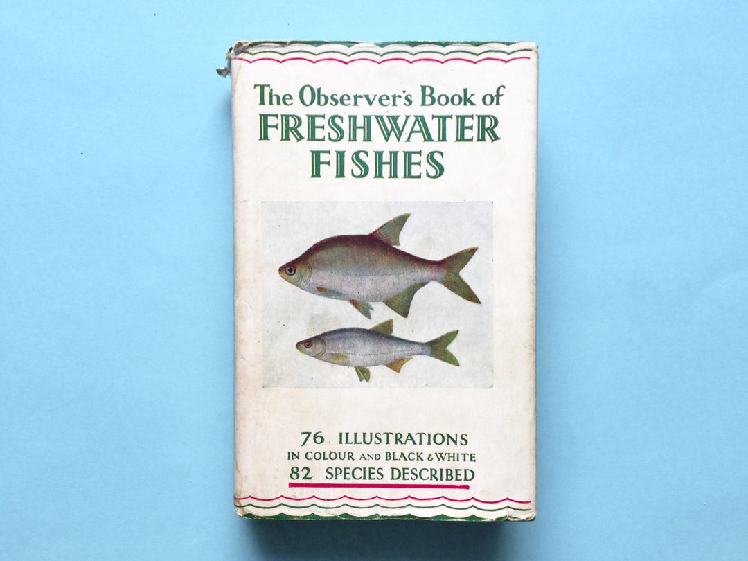 Vintage Zoology Book, Freshwater Fish Prints, Illustrated Book. Angler ...