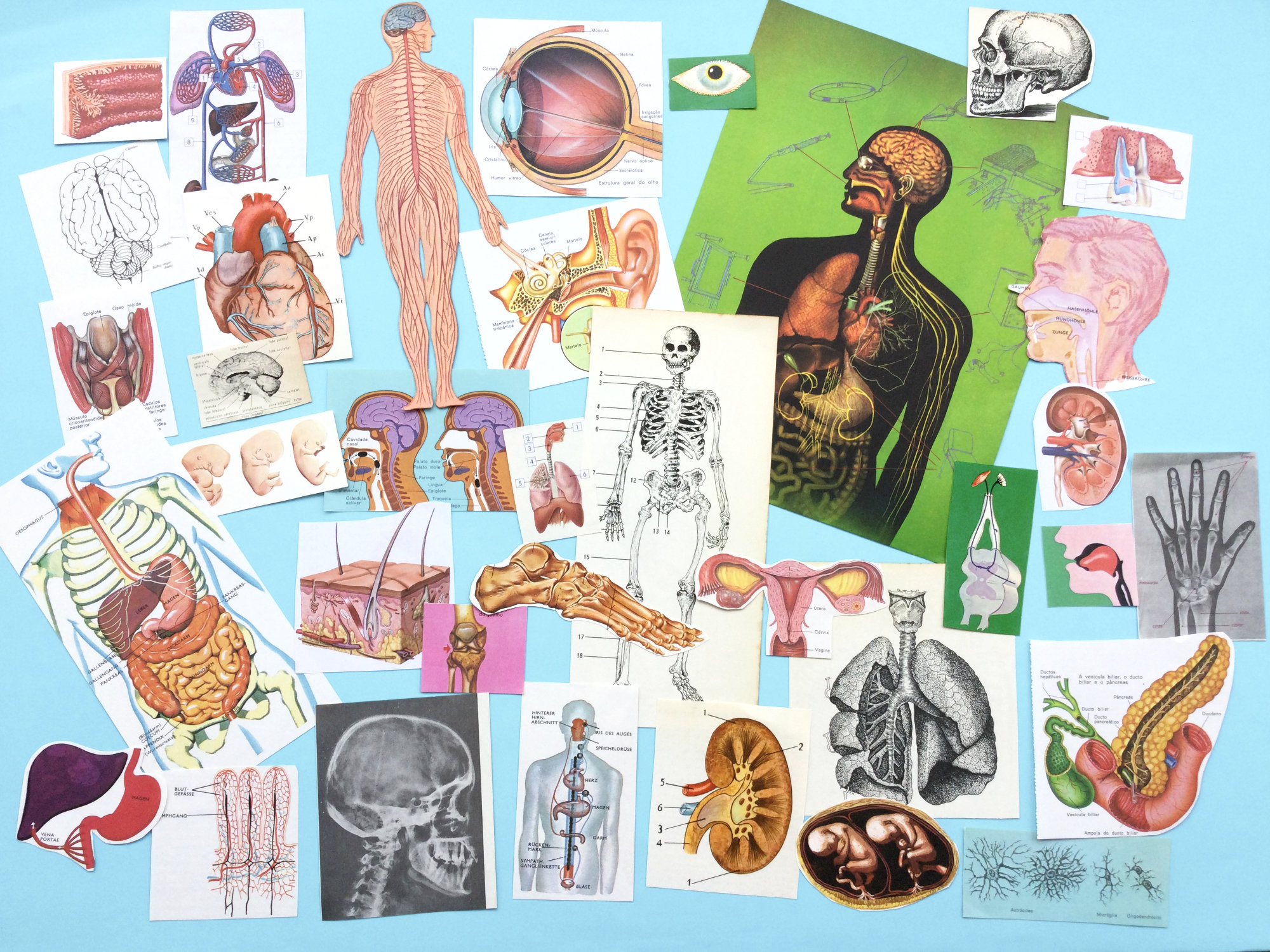APSU1NAGEN: Anatomía y fisiología del cuerpo humano