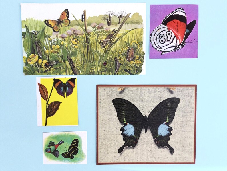 Vintage Butterfly Collage Kit: Entomology Art Ephemera for Junk ...