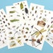 Insect Book Pages, Paper Ephemera, Insect Prints for Collage, Card ...