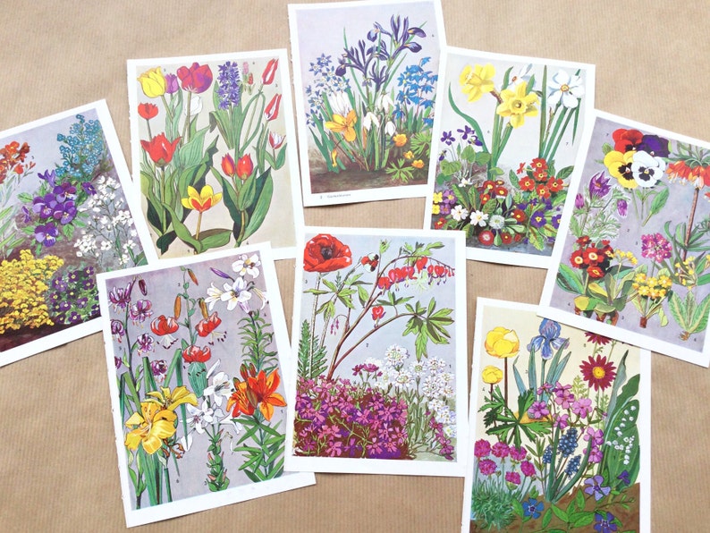 Vintage Botanical Prints, Garden Flower Book Pages, Spring Flowers for ...