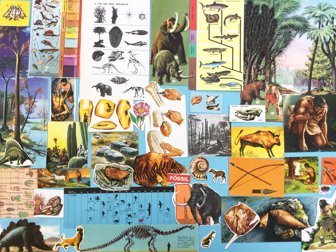 Vintage Collage Kit, Evolution Theme Ephemera Pack, Dinosaurs, Fossils ...