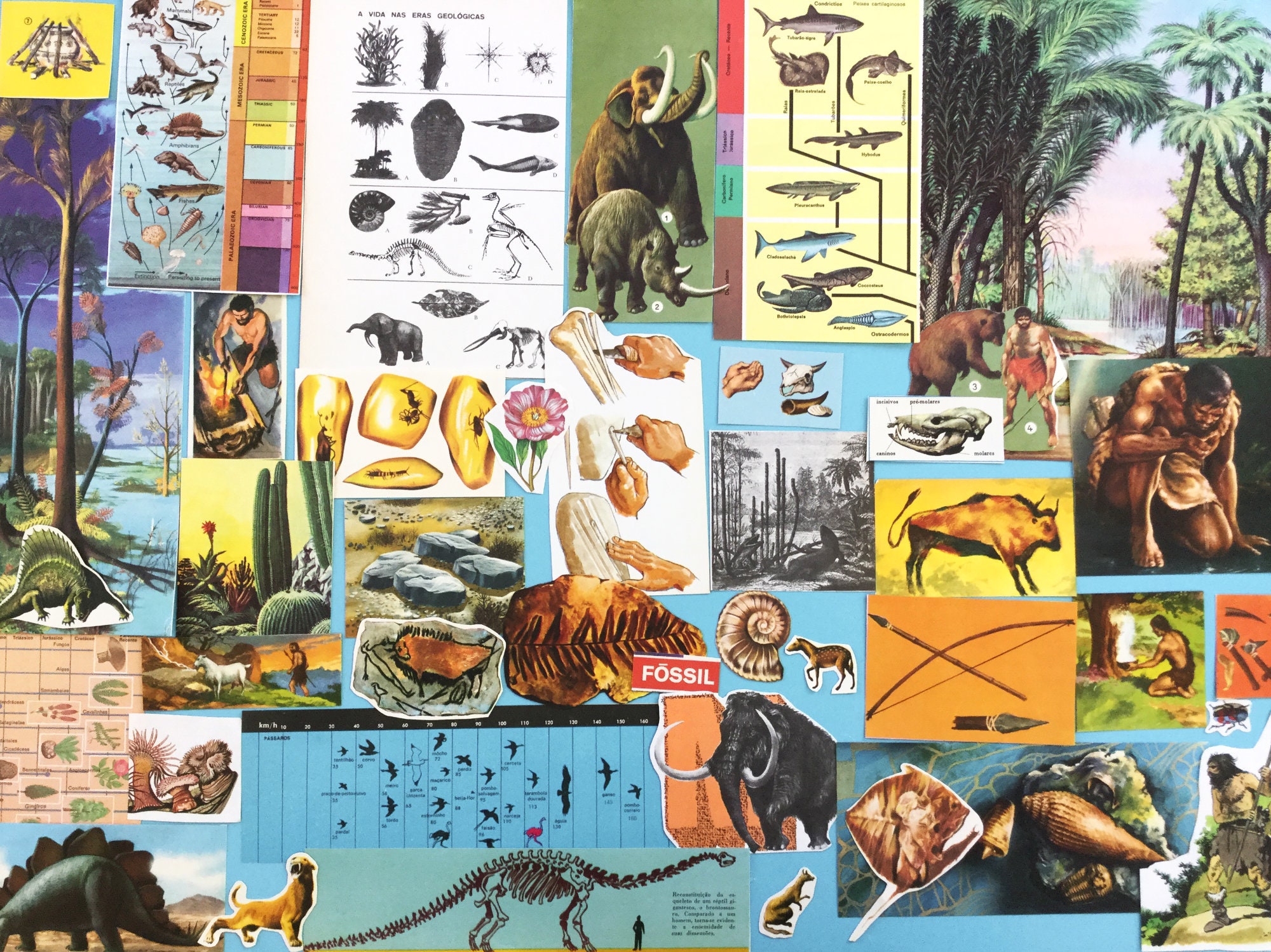 Vintage Collage Kit Evolution Theme Ephemera Pack Dinosaurs - Etsy Ireland
