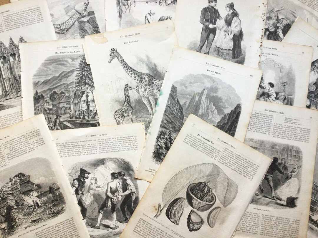 Antique 1857 Lithograph Book Pages: Gothic Text, 10 Sheets for Collage ...