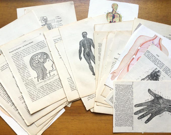 Anatomy Book Pages, Human Body, Vintage Anatomy Art for Collage ...