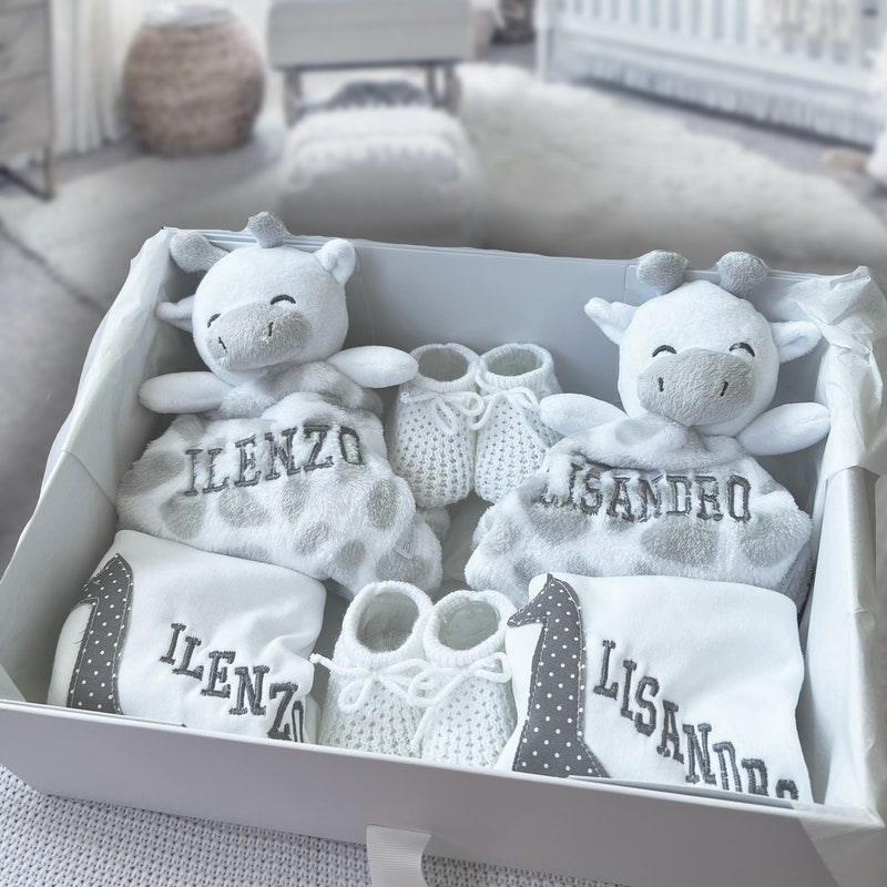 Twin Baby Gift - 60+ Gift Ideas for 2025
