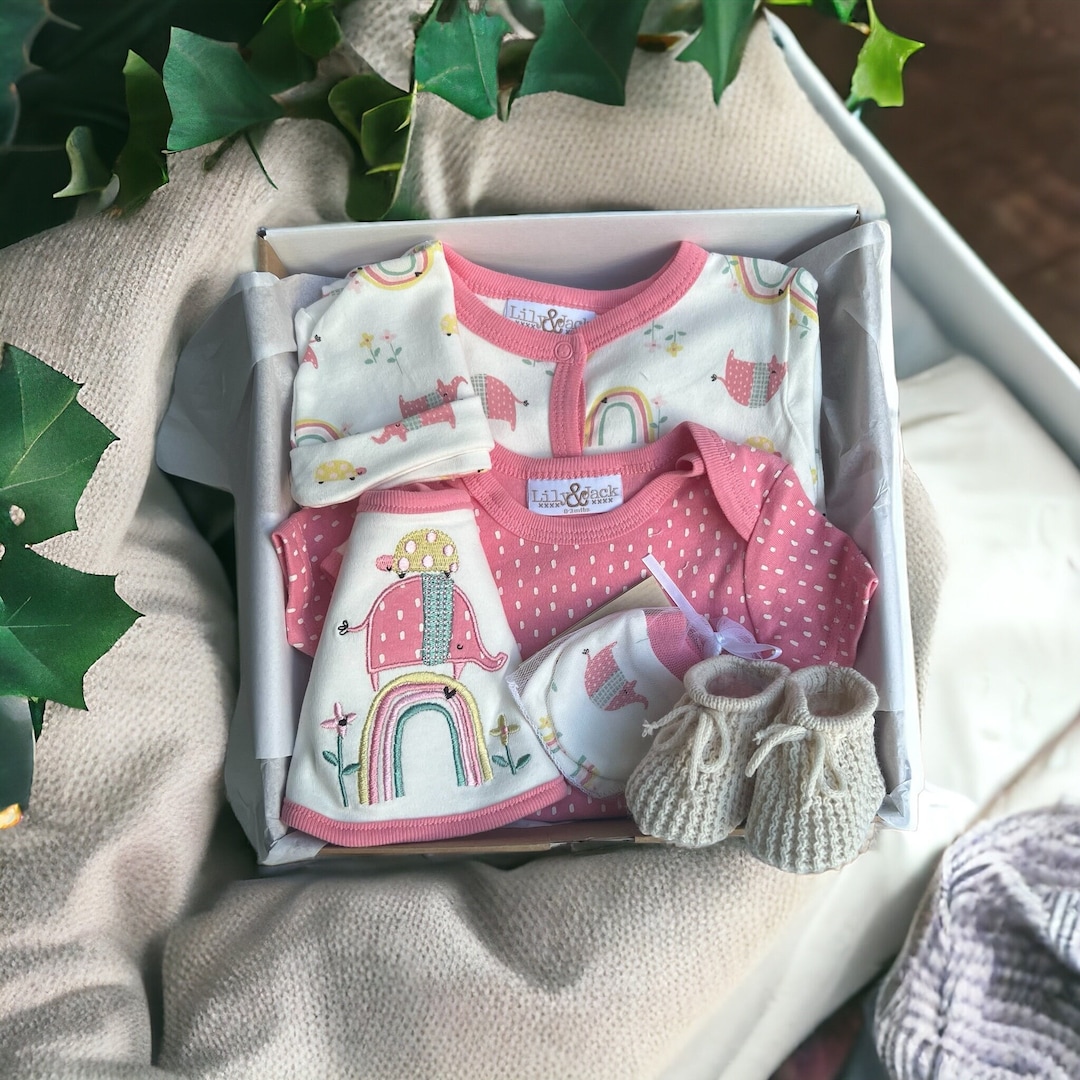 New Baby Girl Gift Baby Clothes Gift Set, Baby Shower, Sleep Suit, Baby ...