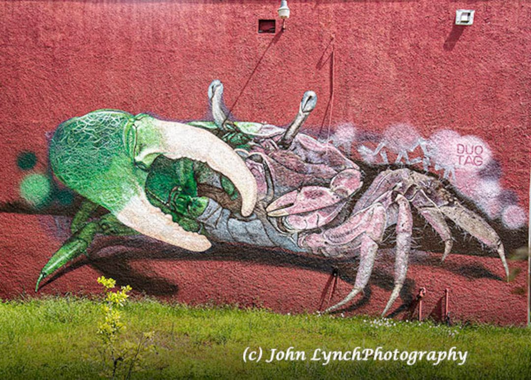 Angry Crab, Murals, Wall Art, Houston - Etsy