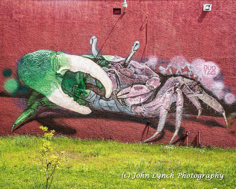 Angry Crab, Murals, Wall Art, Houston - Etsy