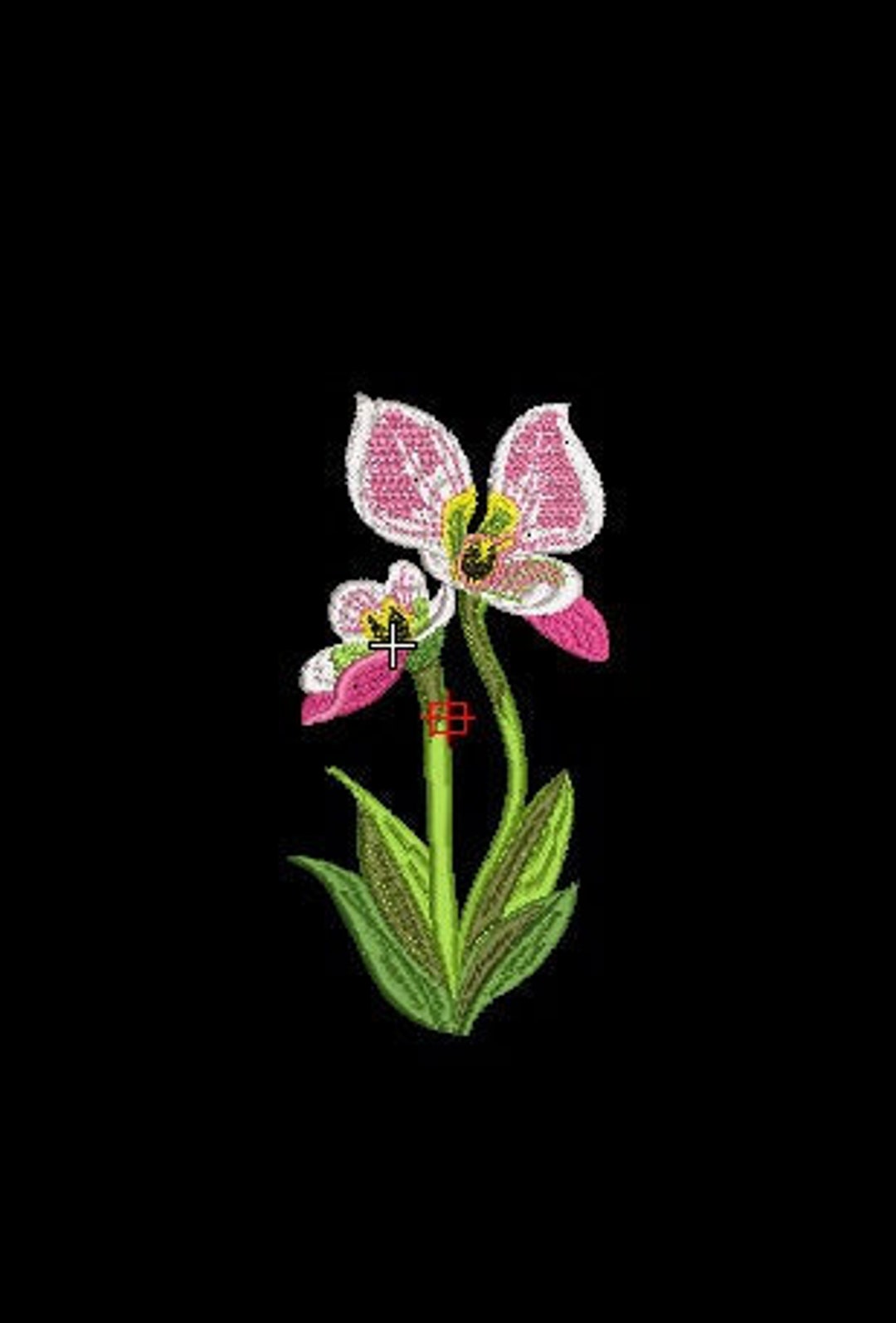 Lady's Slipper Orchids, Embroidery File, Machine Embroidery Designs ...