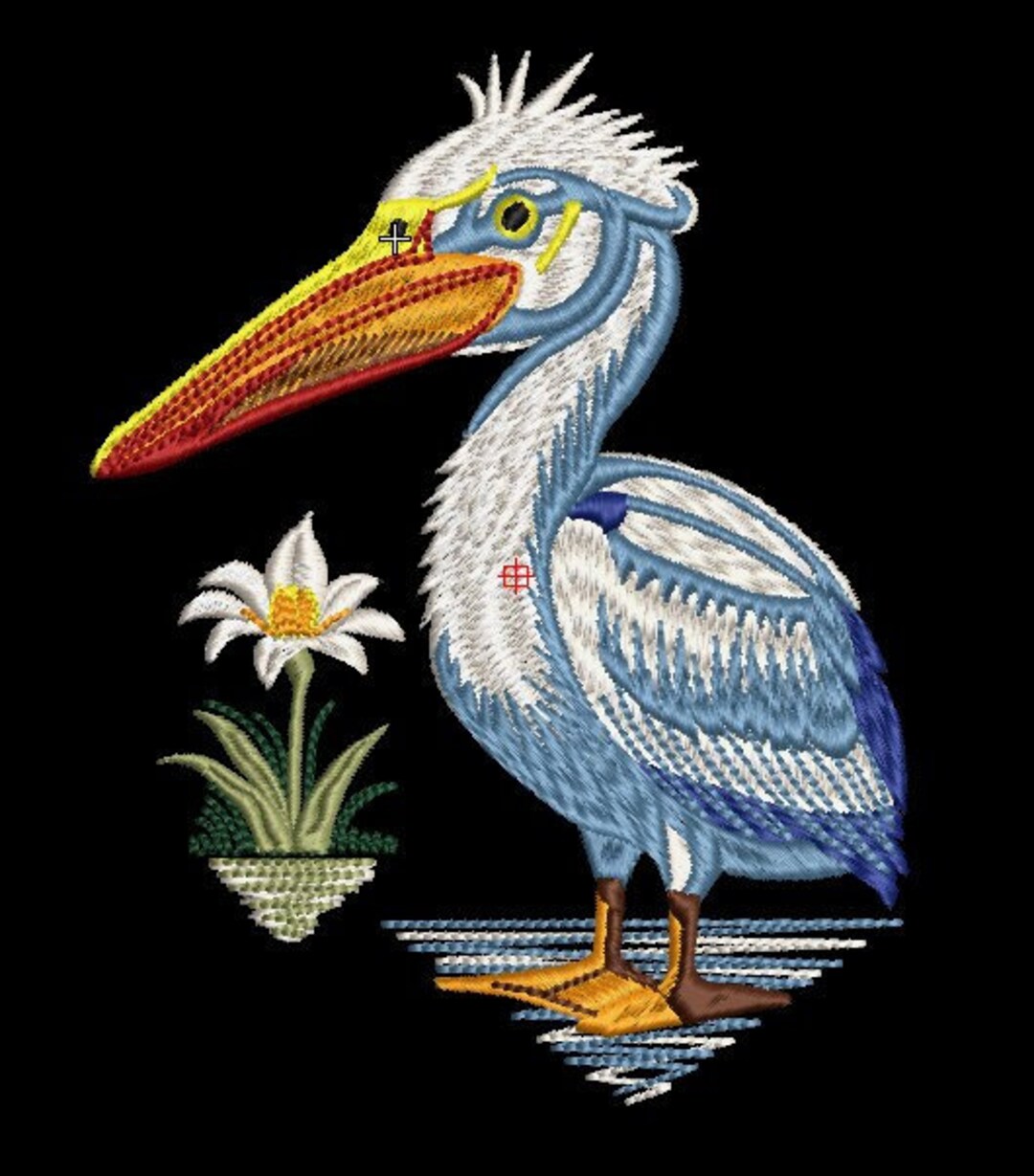 American White Pelican, Embroidery File, Machine Embroidery Designs ...