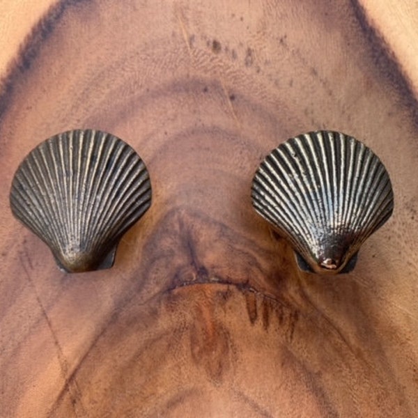 Seashell Knobs - Etsy