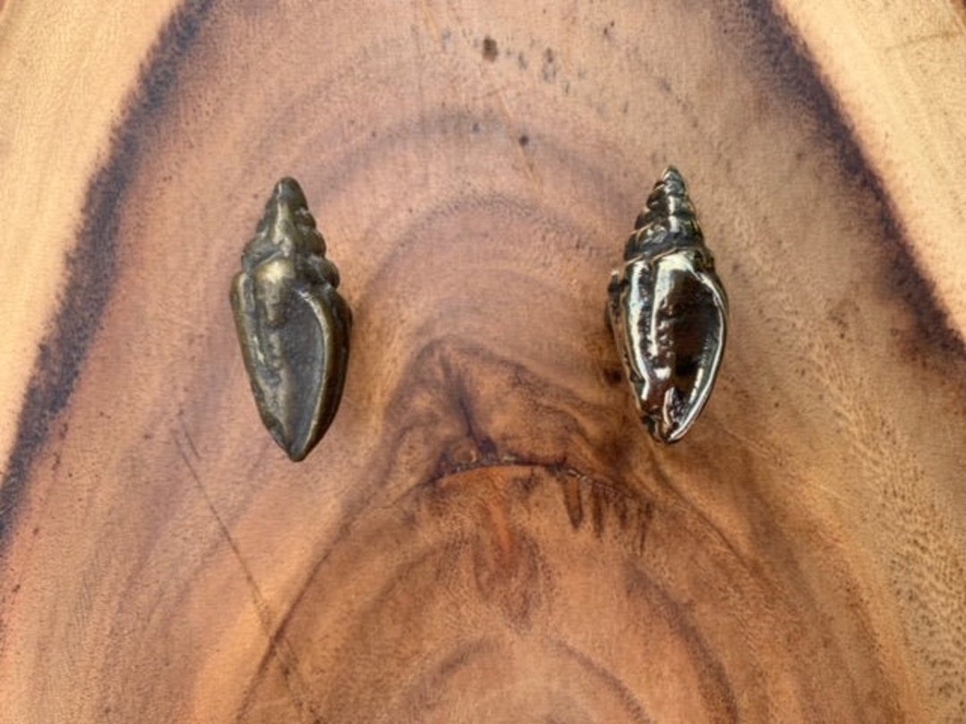 CONCH Seashell, Solid Bronze Drawer Pull, Door Handle, Knob, Beach ...