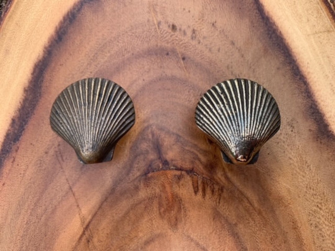 CLAM Seashell, Solid Bronze Drawer Pull, Door Handle, Knob, Beach Theme ...