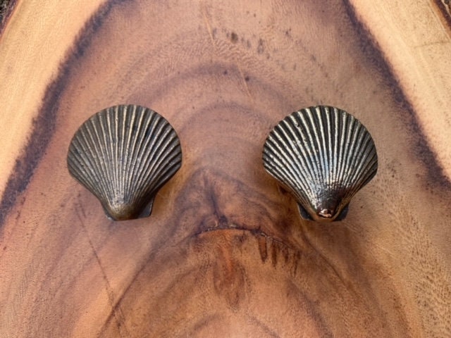 CLAM Seashell Solid Bronze Drawer Pull Door Handle Knob - Etsy