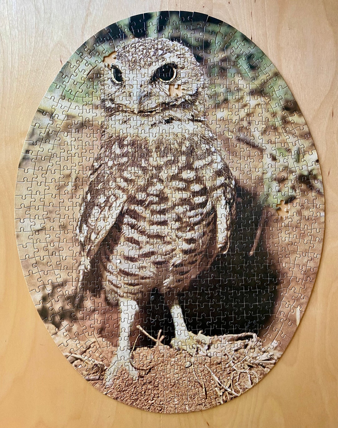 Vintage Bird Puzzle - Owl Puzzle - Built-rite Oval Puzzle - Birder ...