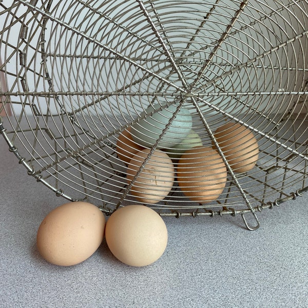 Collapsible Wire Egg Basket - Etsy