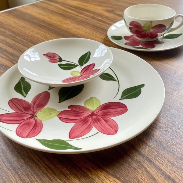 Blue Ridge Plates - Etsy