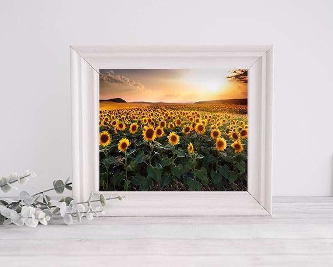 Sunflower Field Print: Rustic Floral Wall Art (digital Download) - Etsy