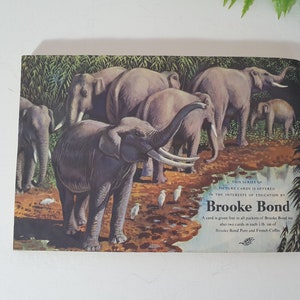 Vintage Brooke Bond Picture Cards Collectable - Asian Wild Life - Etsy UK