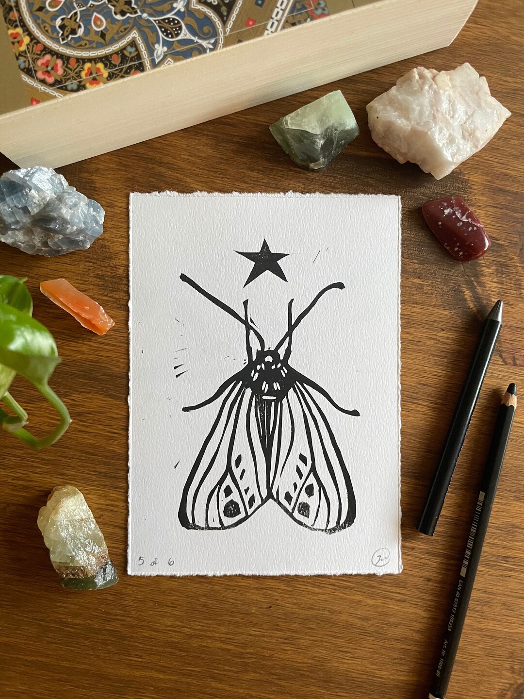 Starry Moth Linocut Print 5x7 Handmade - Etsy