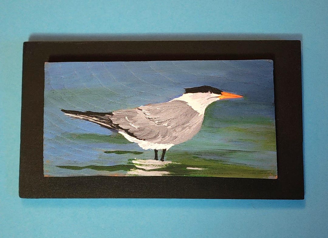 Royal Tern on Recycled Cedar Shingle. - Etsy