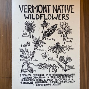 Vermont Native Wildflowers Linocut Print - Etsy