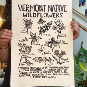 Vermont Native Wildflowers Linocut Print - Etsy