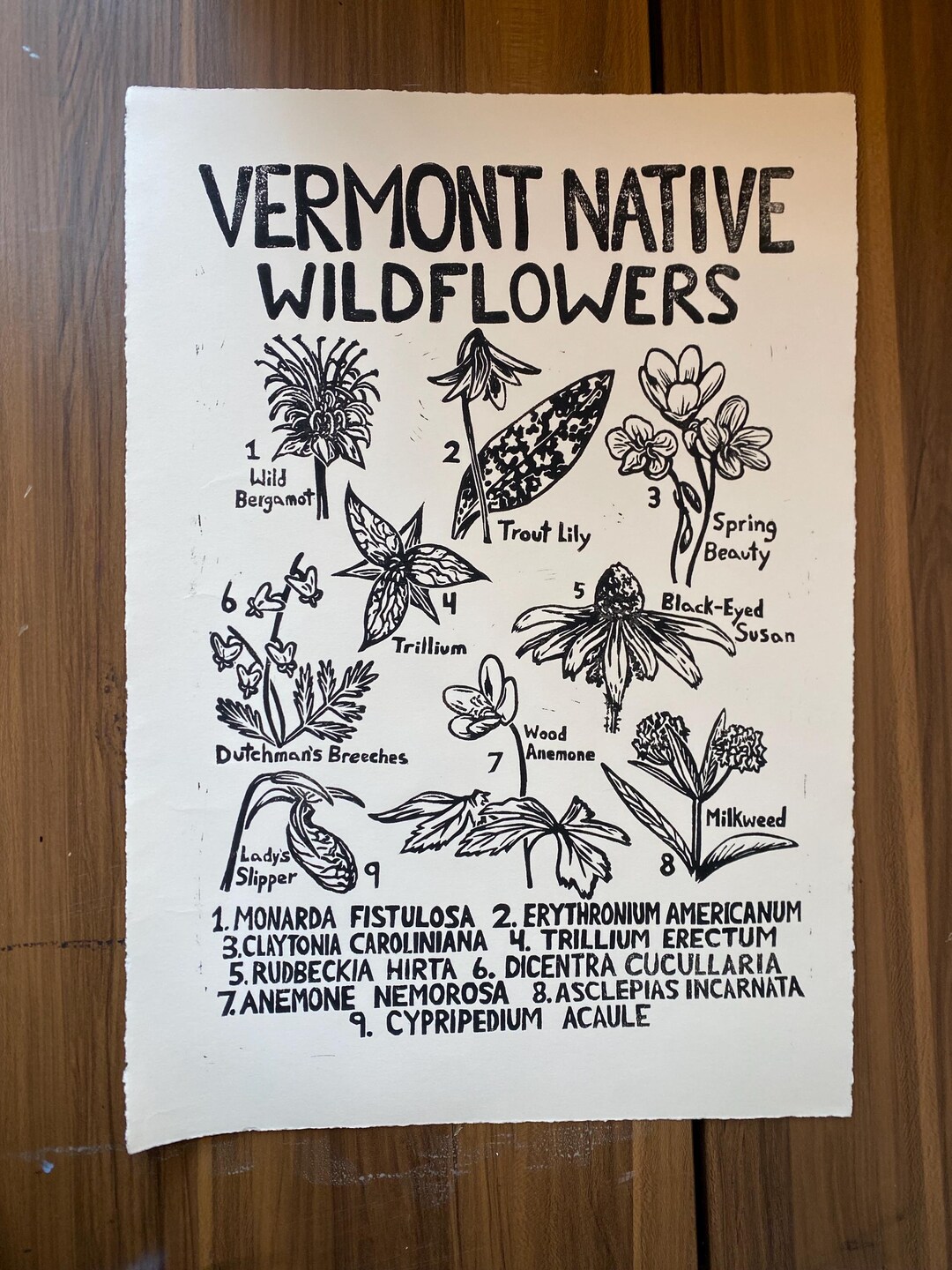 Vermont Native Wildflowers Linocut Print - Etsy