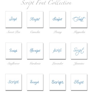 SCRIPT FONT COLLECTION of Monogram Fonts on Embroidered Cloth Dinner ...