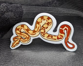 VINYL Arabian Sand Boa Sticker - Etsy