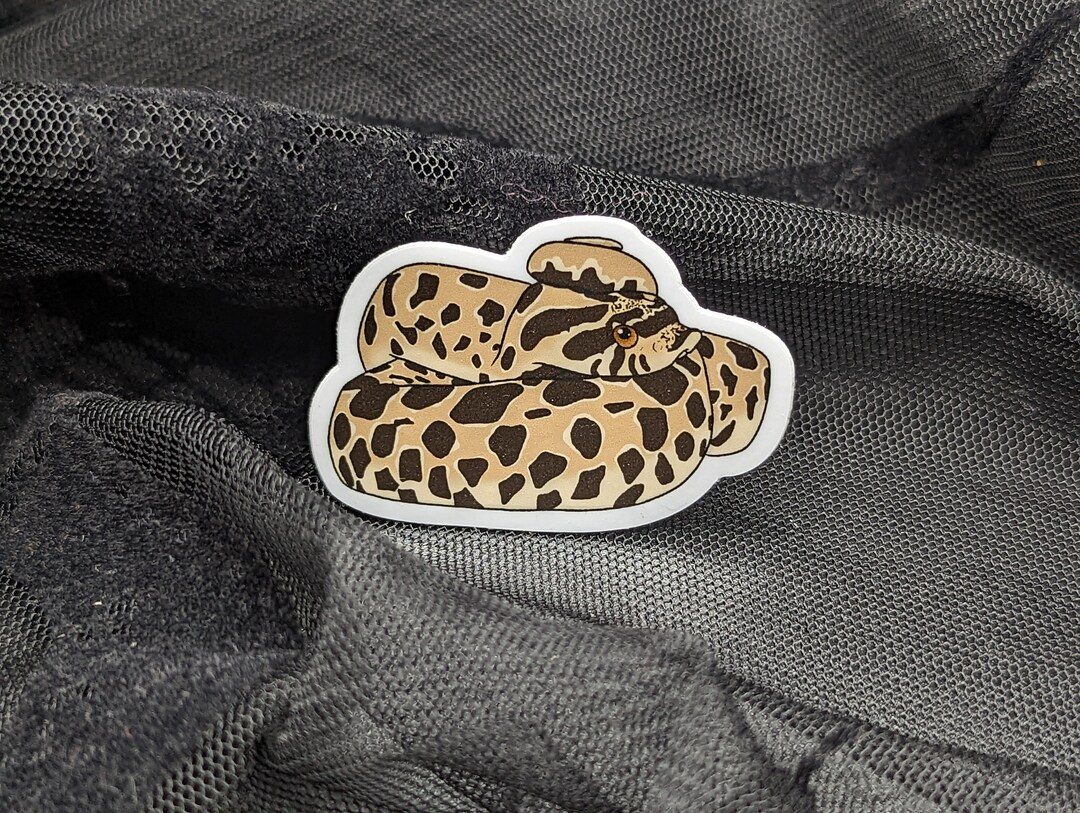 Hognose Snake Vinyl Sticker - Etsy