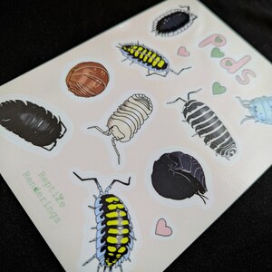 Isopod Vinyl Sticker Sheet 14 Stickers - Etsy