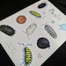 Isopod Vinyl Sticker Sheet 14 Stickers - Etsy