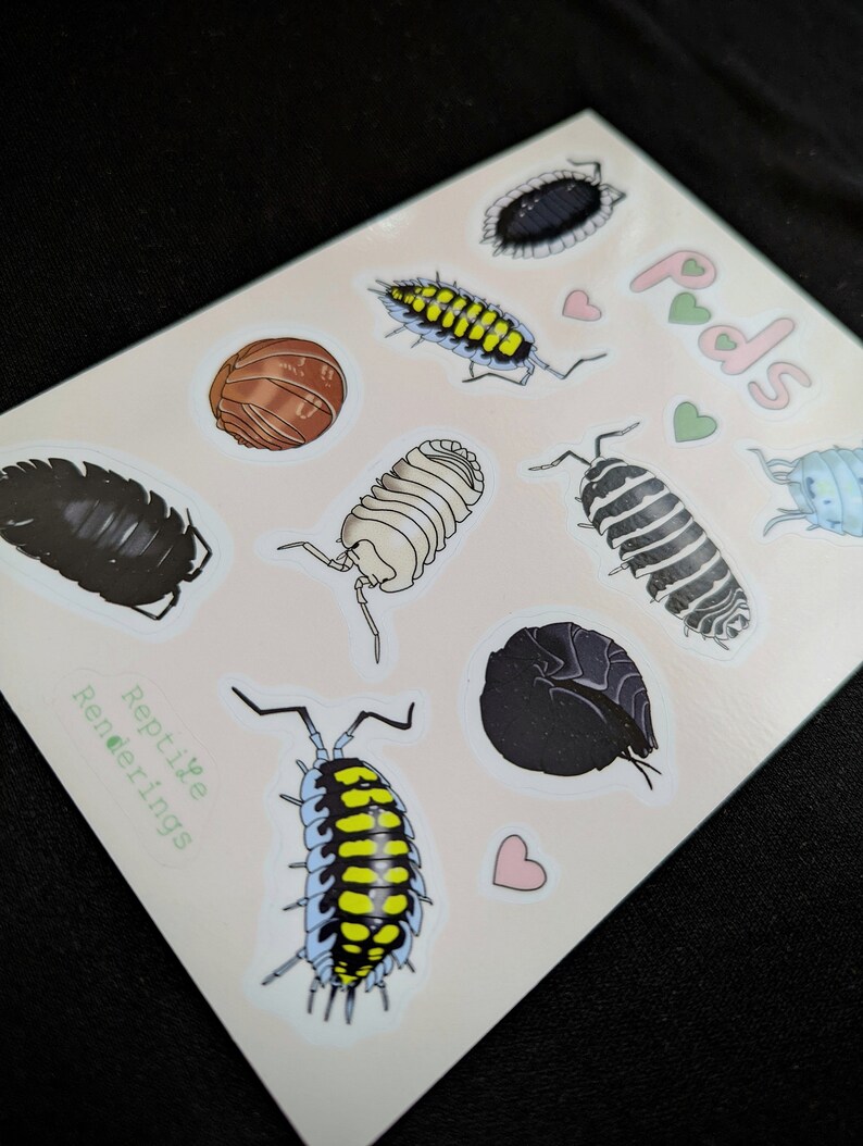 Isopod Vinyl Sticker Sheet 14 Stickers - Etsy