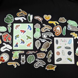 Isopod Vinyl Sticker Sheet 14 Stickers - Etsy